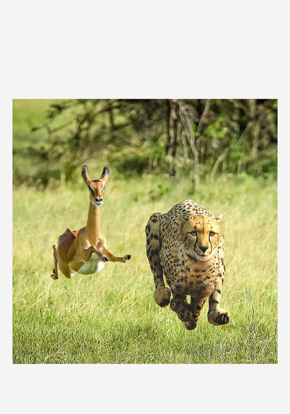 Thundercat & Tame Impala-No More Lies 7" (Color) Vinyl | Newbury Comics