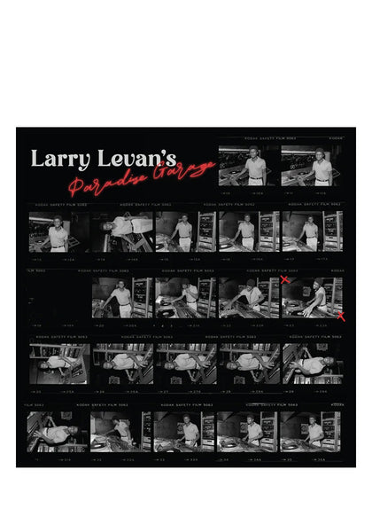Various Artists-Larry Levan's Paradise Garage 2LP Vinyl | Newbury Comics