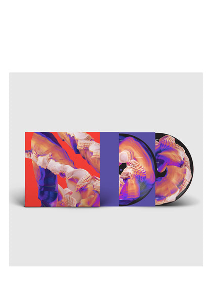 Bicep-Isles 2LP (Picture Disc) Vinyl With Autographed Poster | Newbury ...