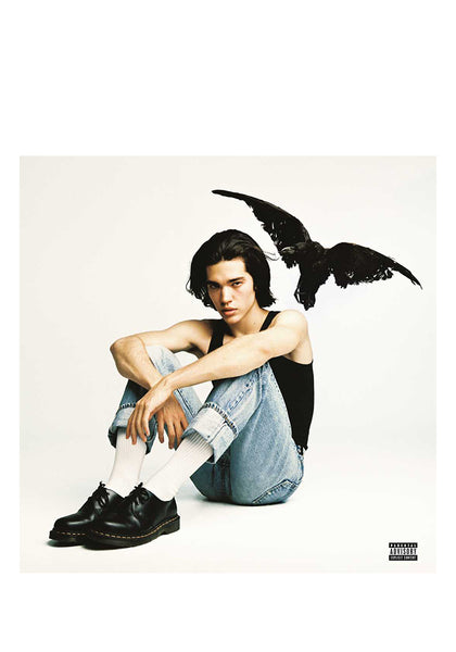 Conan Gray-Kid Krow CD | Newbury Comics