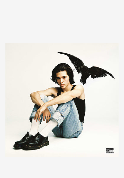 Conan Gray-Kid Krow LP | Newbury Comics